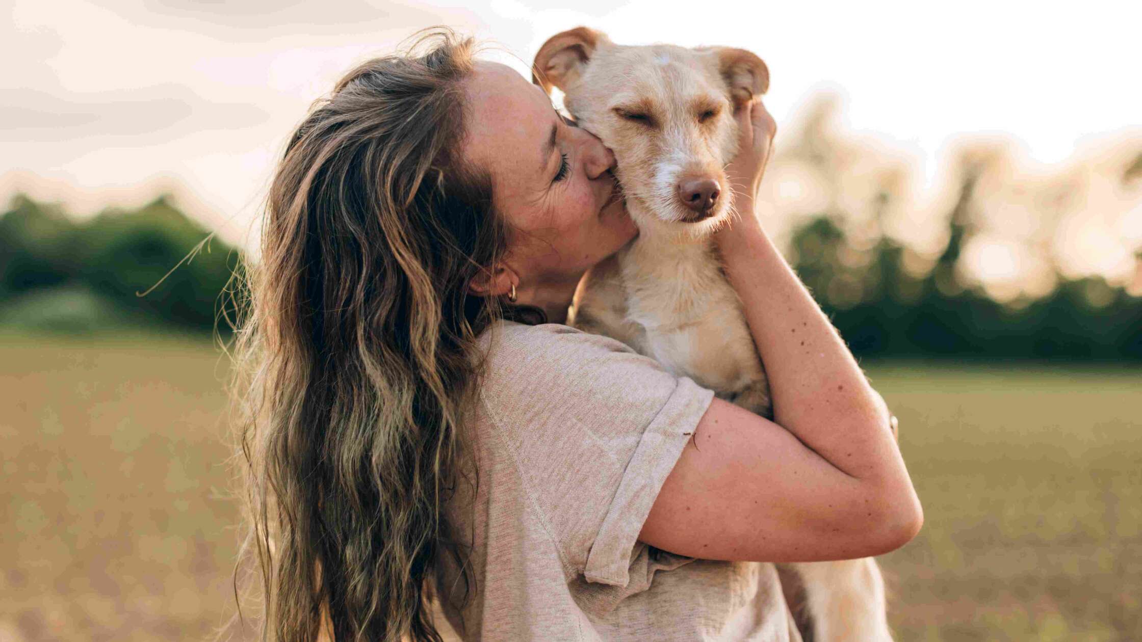 Hundehaltung in Bayern: Wichtige Regeln und Pflichten