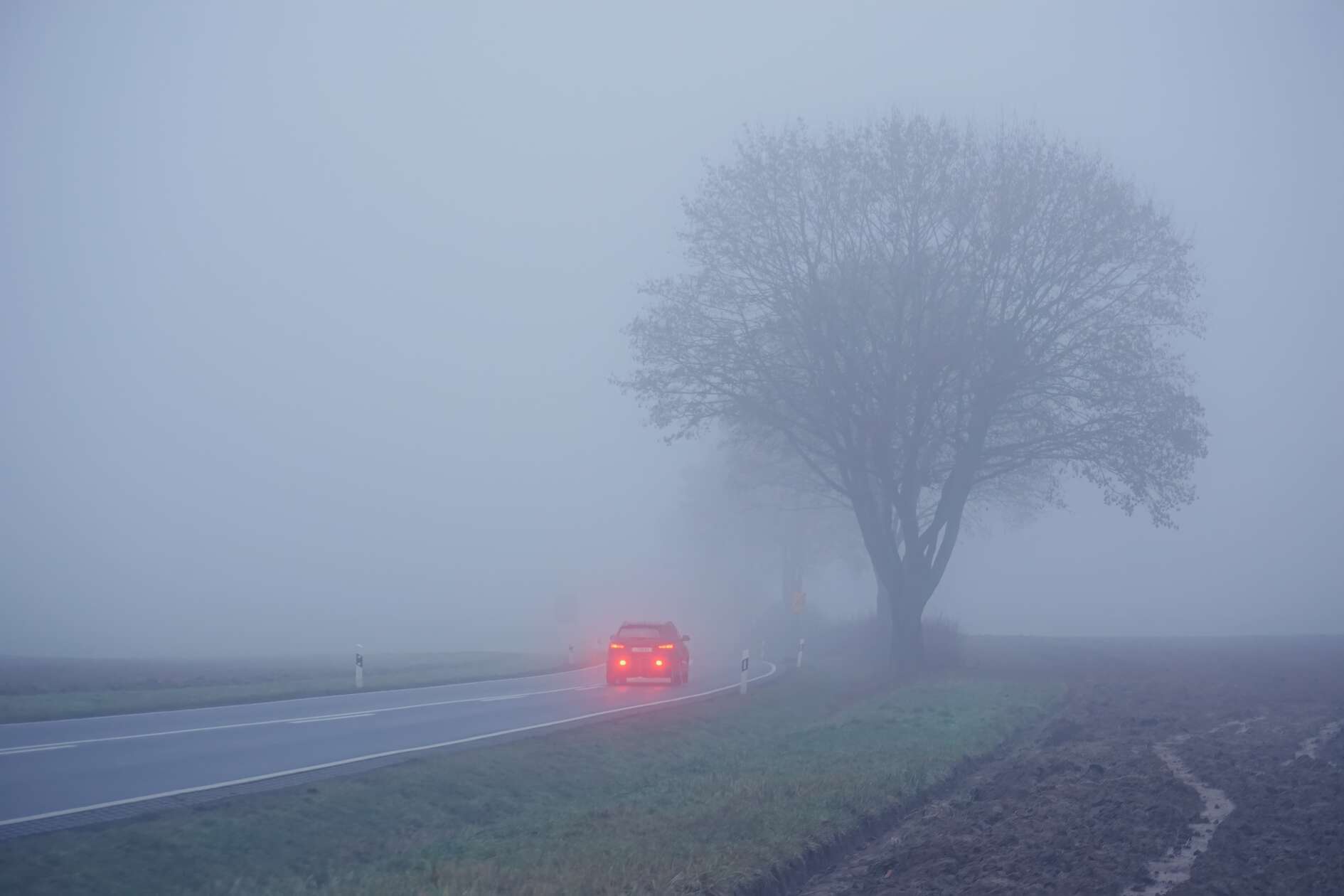 Fabelhafte Sie Fahren Auerorts Bei Dichtem Nebel Bilder