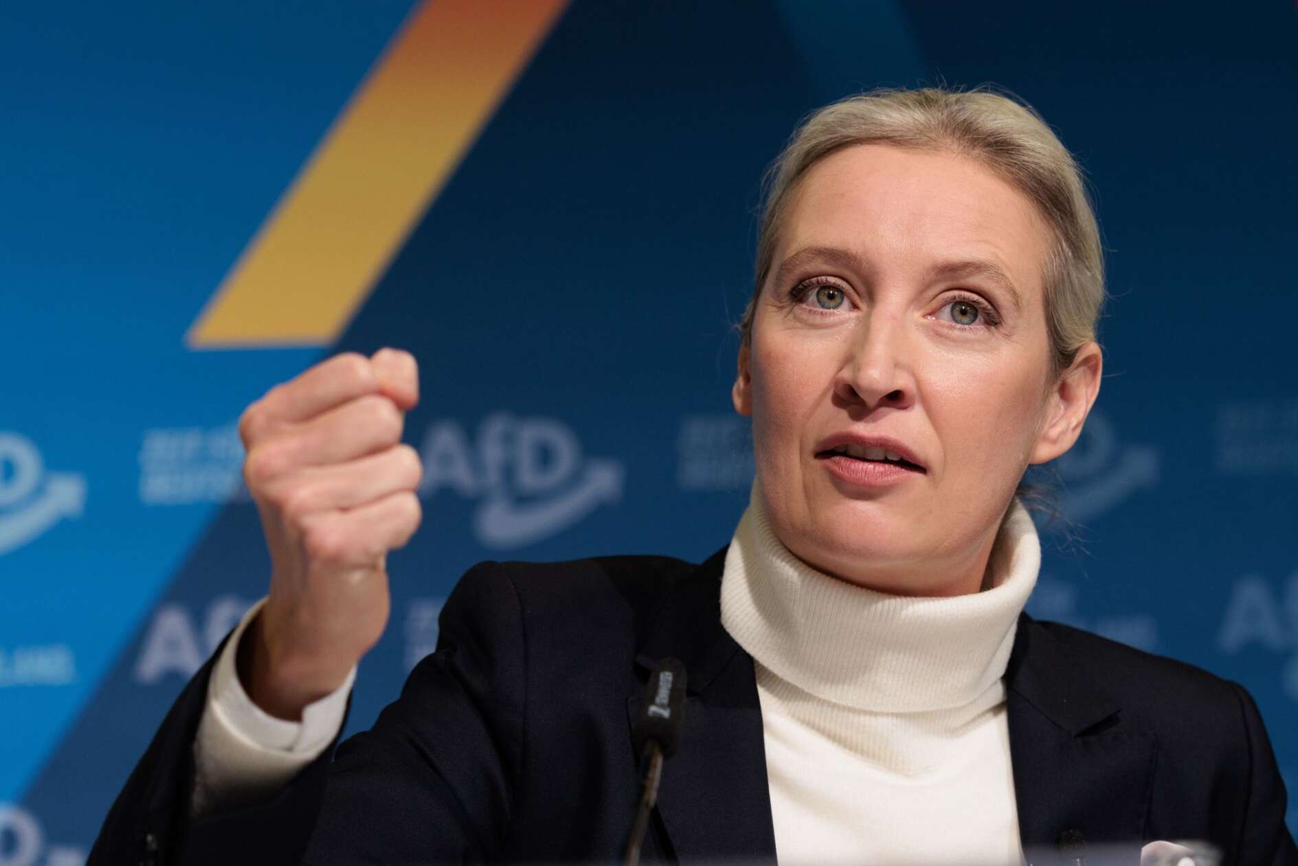 AfD setzt auf Weidel für den Wahlkampf | ANTENNE BAYERN